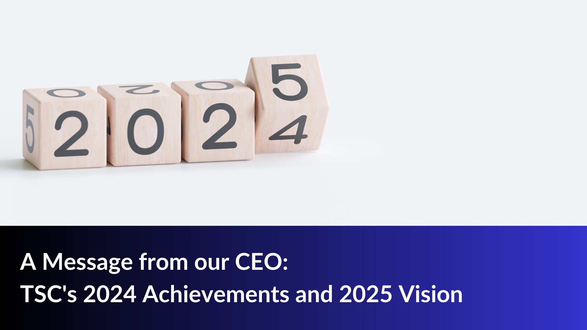 TSC Simulation - 2024 review and look ahead to 2025